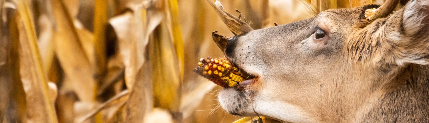 Hunting Habitats: Improvements - Base Camp Leasing