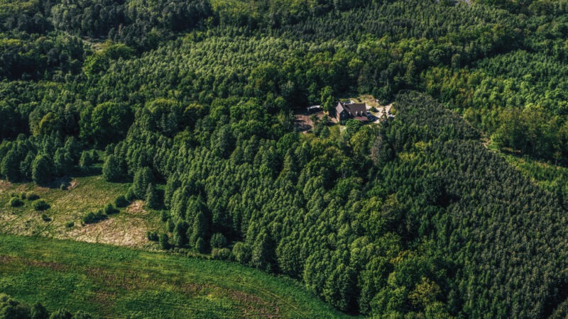 Exclusive Access To Premier Hunting Land | Base Camp Leasing